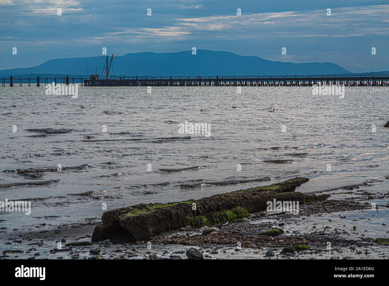 A Calm Bay and Pier Beyond Rocky Beach in Pacific Northwest Stock Photo ...