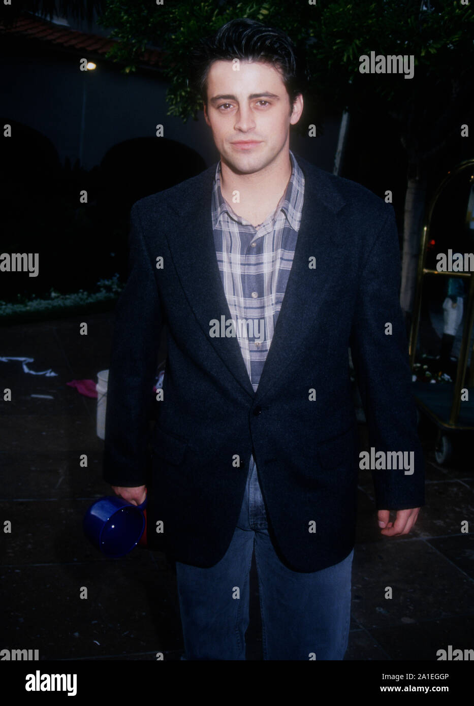 Matt leblanc 1995 hi-res stock photography and images - Alamy