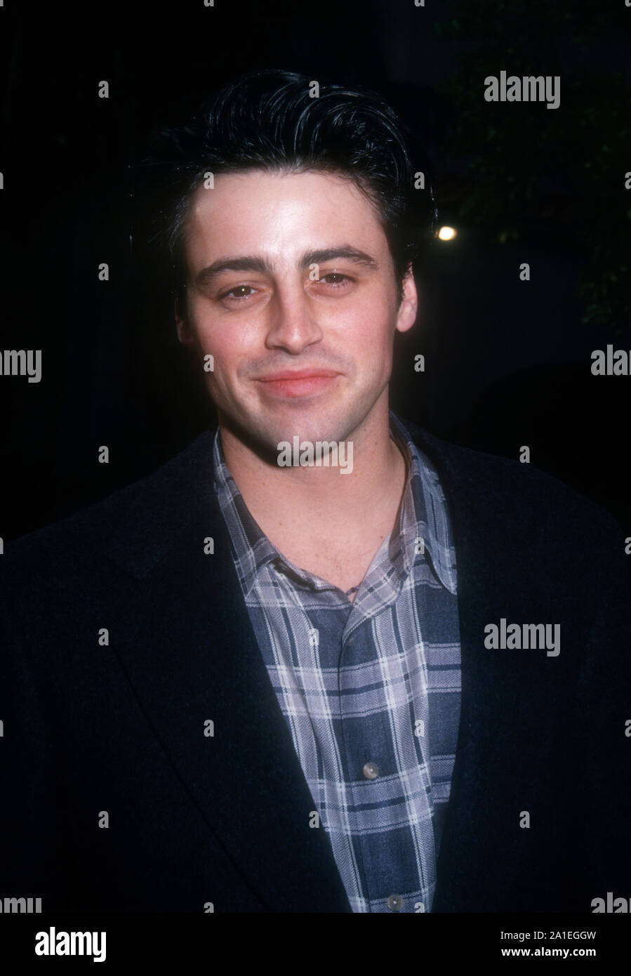 Matt leblanc 1995 hi-res stock photography and images - Alamy