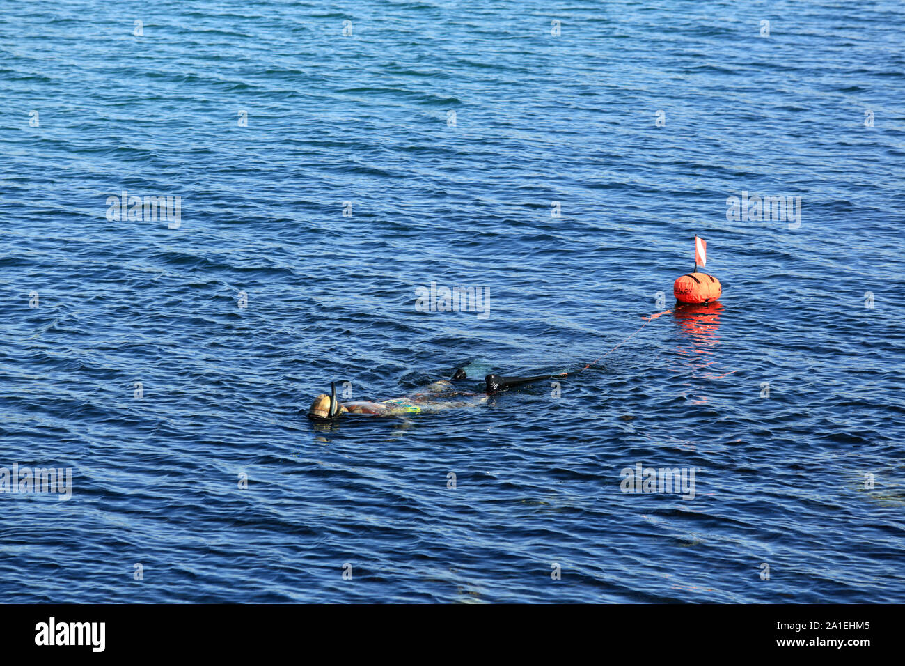 Uk sea swimming hi-res stock photography and images - Alamy