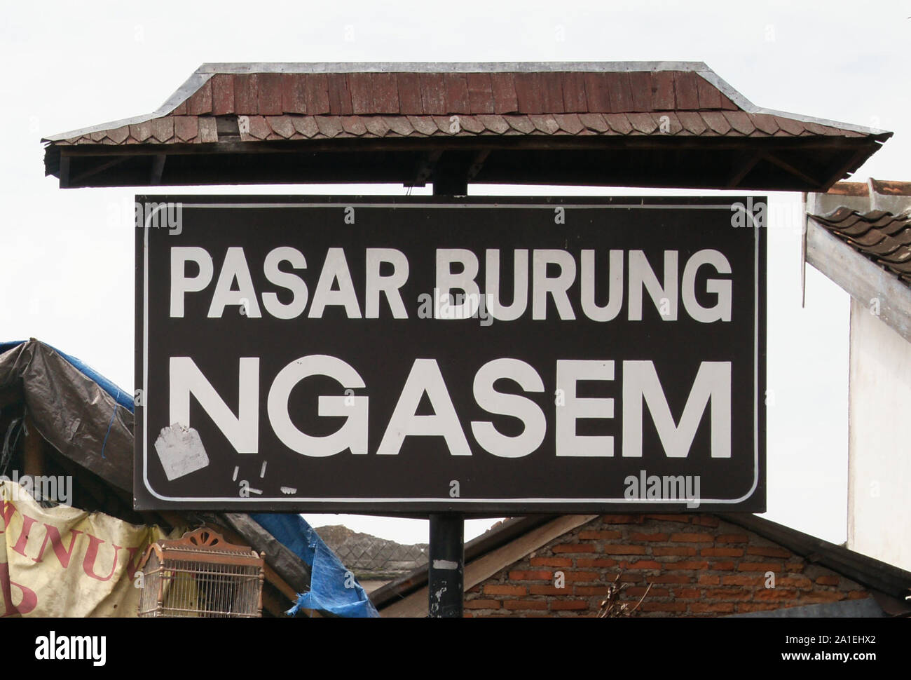 Pasar Burung, NGASEM, Bird Market, Yogyakarta, Java, Indonesia Stock ...