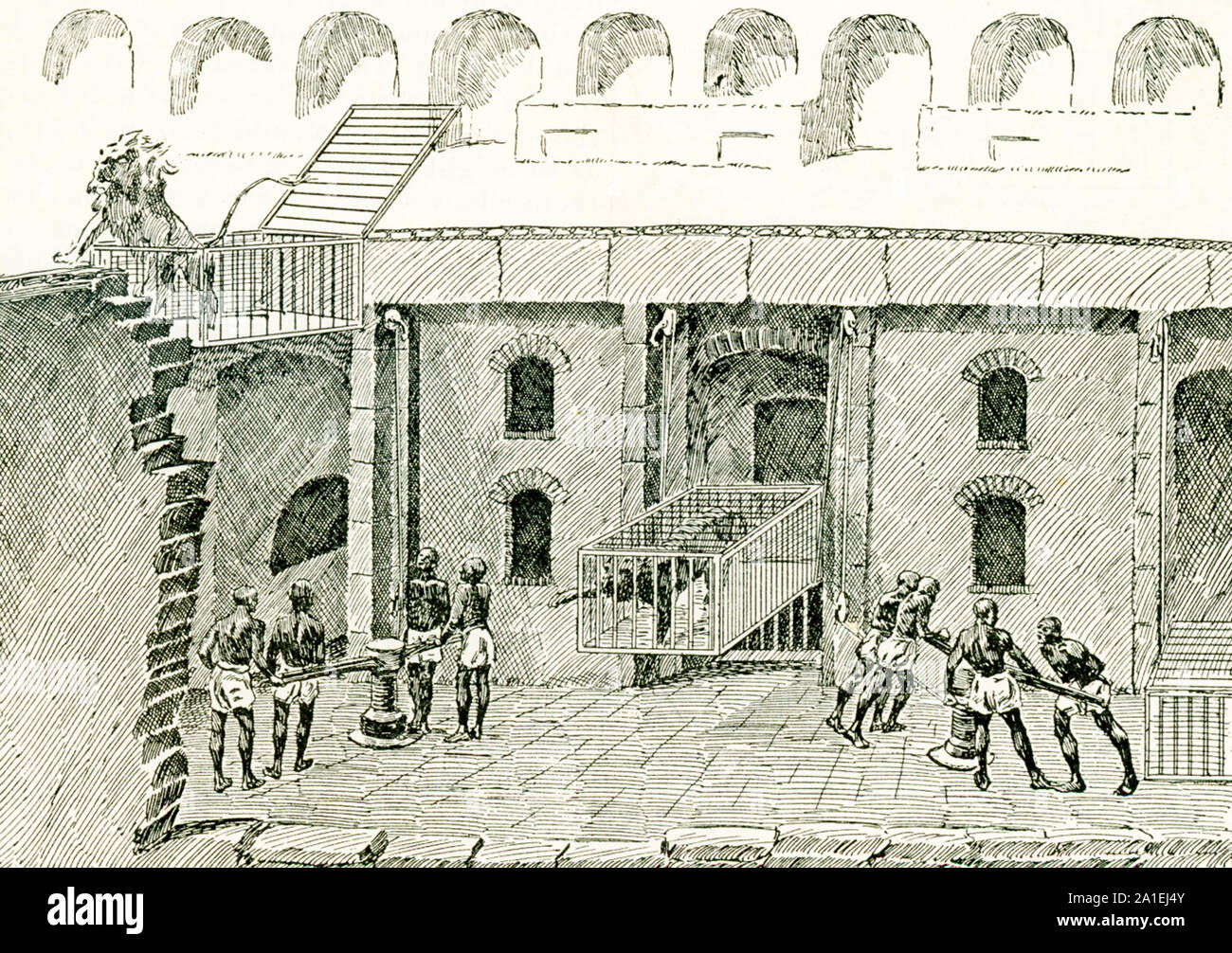 This illustration dates to 1897 and shows the method of raising wild ...