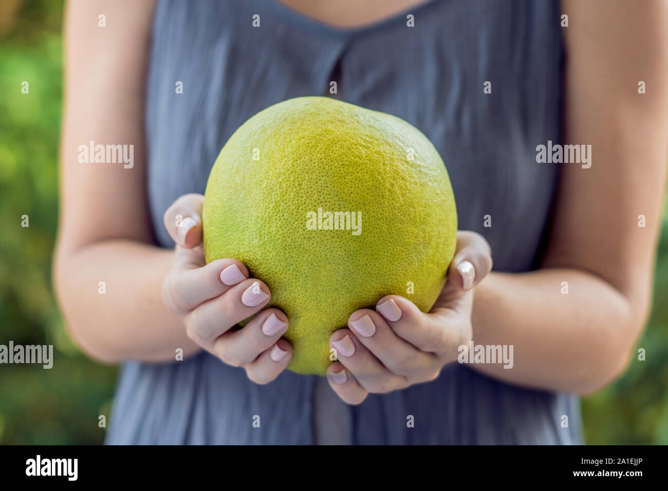 Pomelo fruit in beautiful female hands on a green background Stock ...