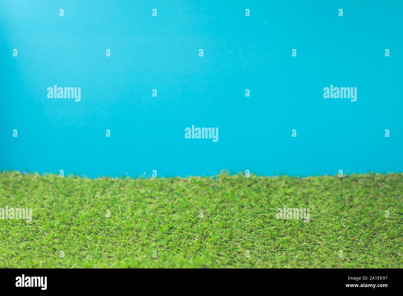 Green pastures in nature and a blue background bright. Blue background ...