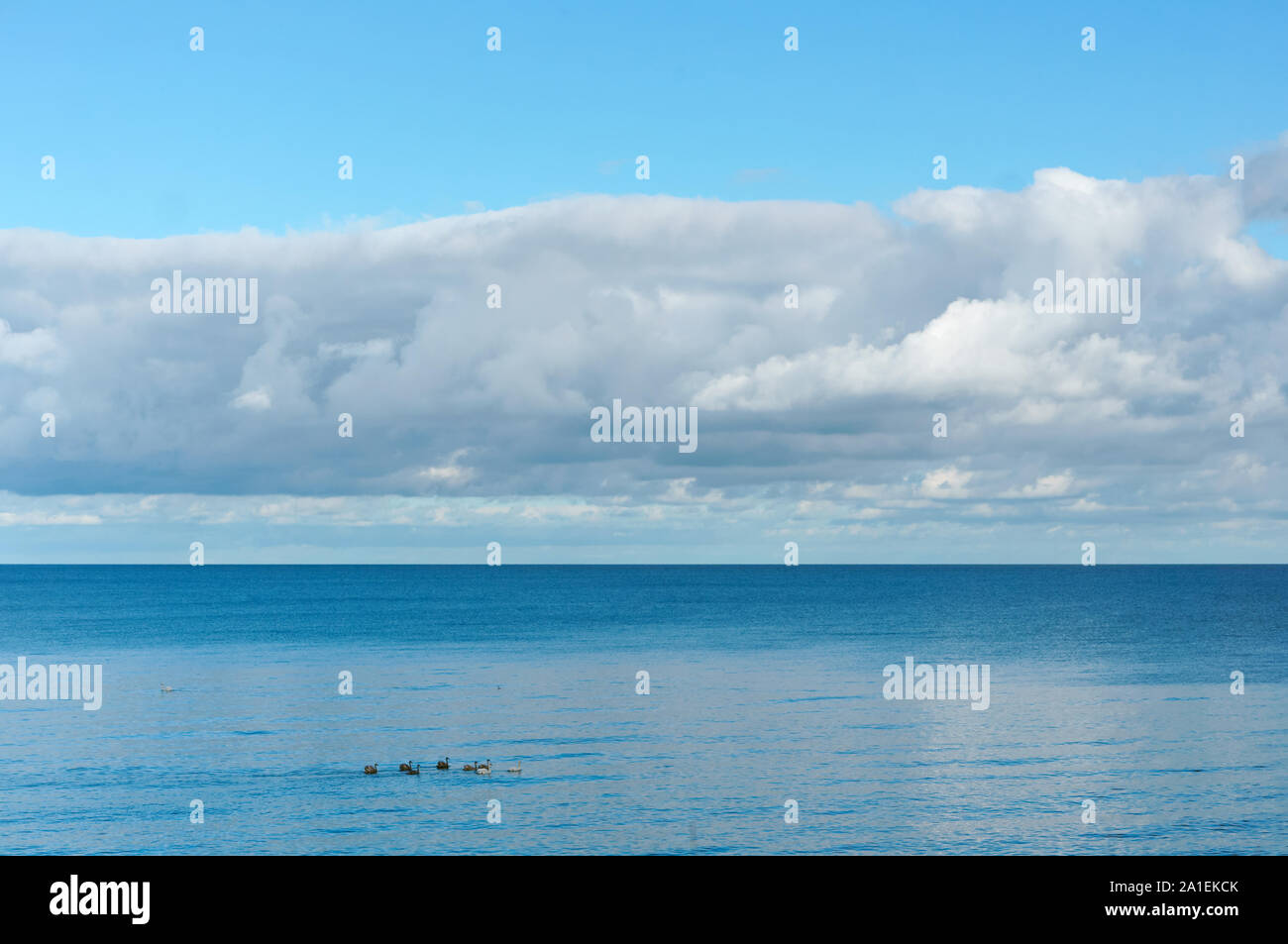 Boundless ocean water clear sky hi-res stock photography and images - Alamy