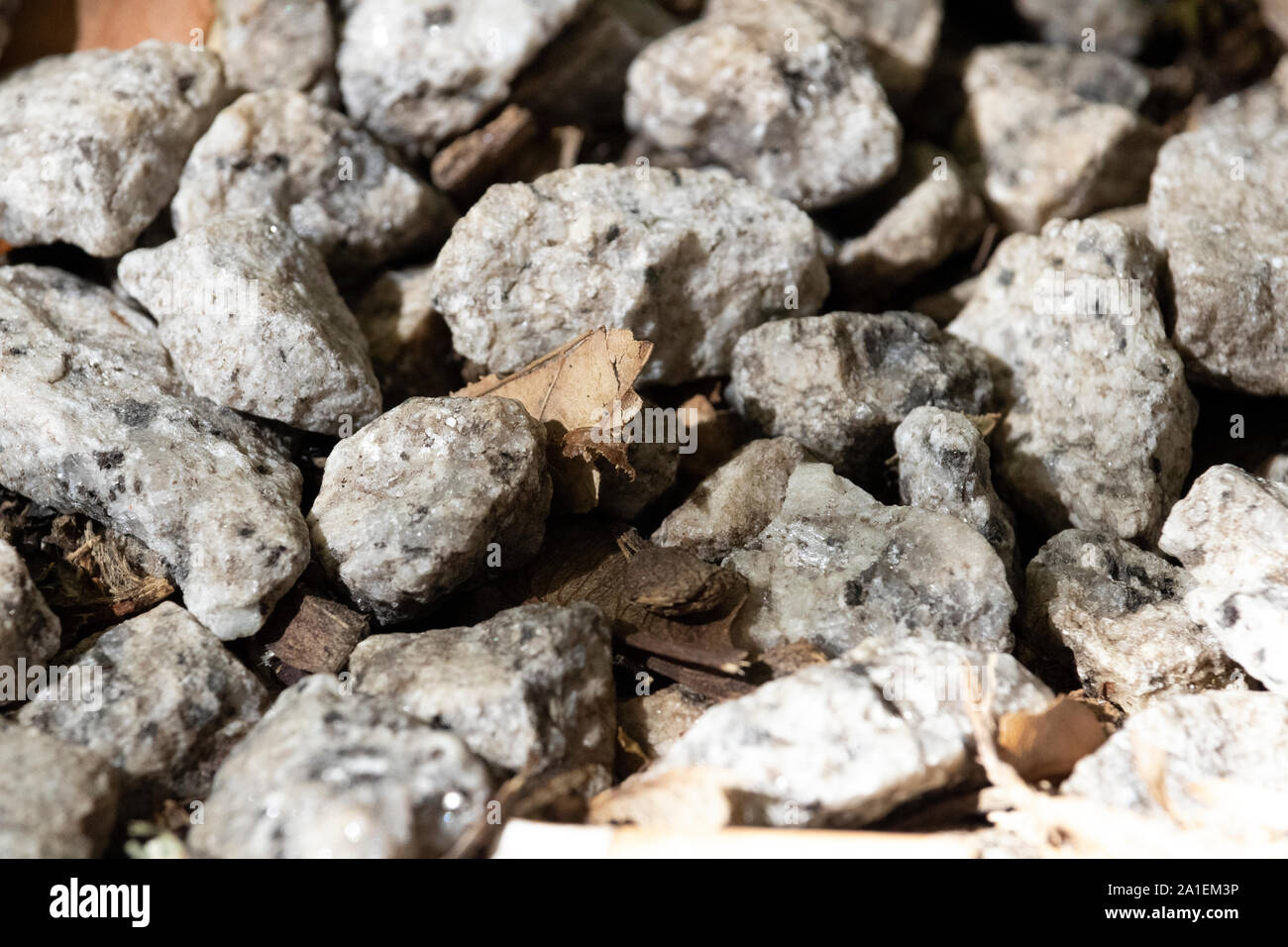 Macro rocks hi-res stock photography and images - Alamy