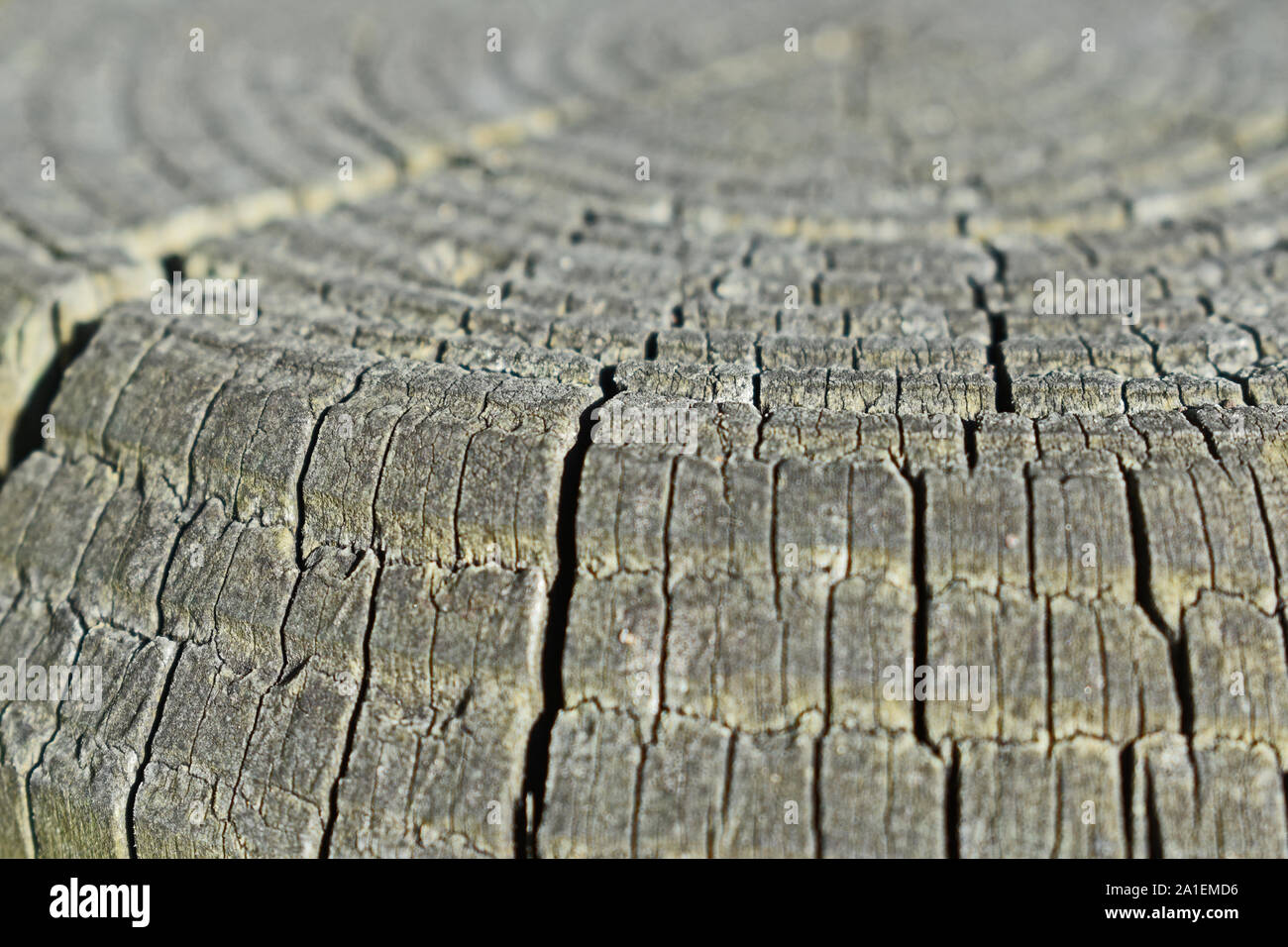 Wood patterns hi-res stock photography and images - Alamy