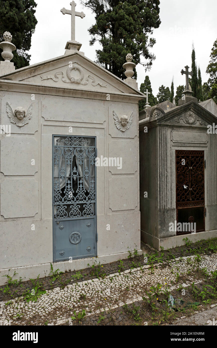 Old european ruined and creepy vault Stock Photo - Alamy