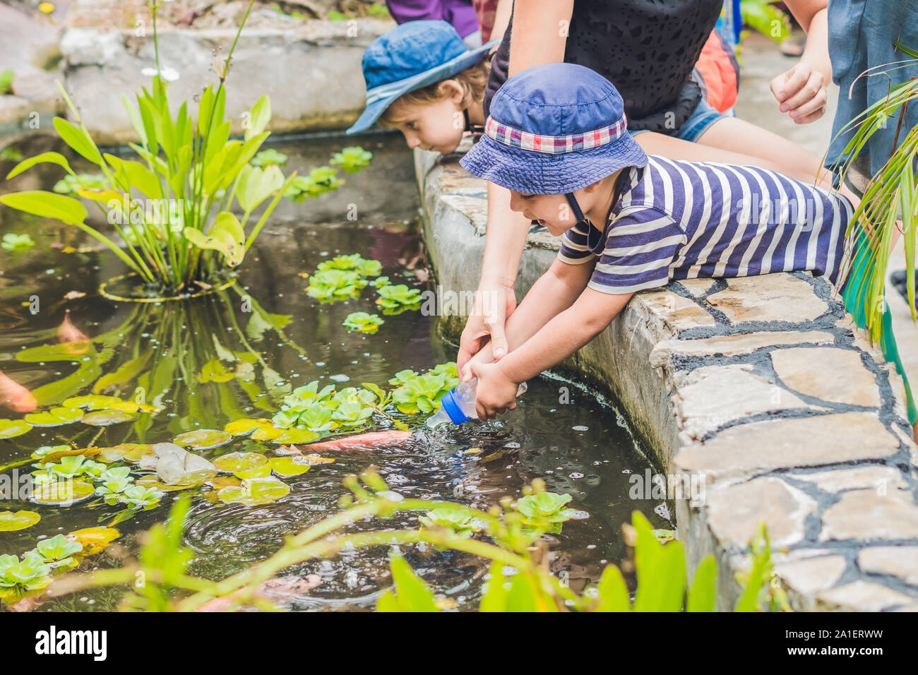 young boy feeding Koi fish with milk bottle Stock Photo - Alamy