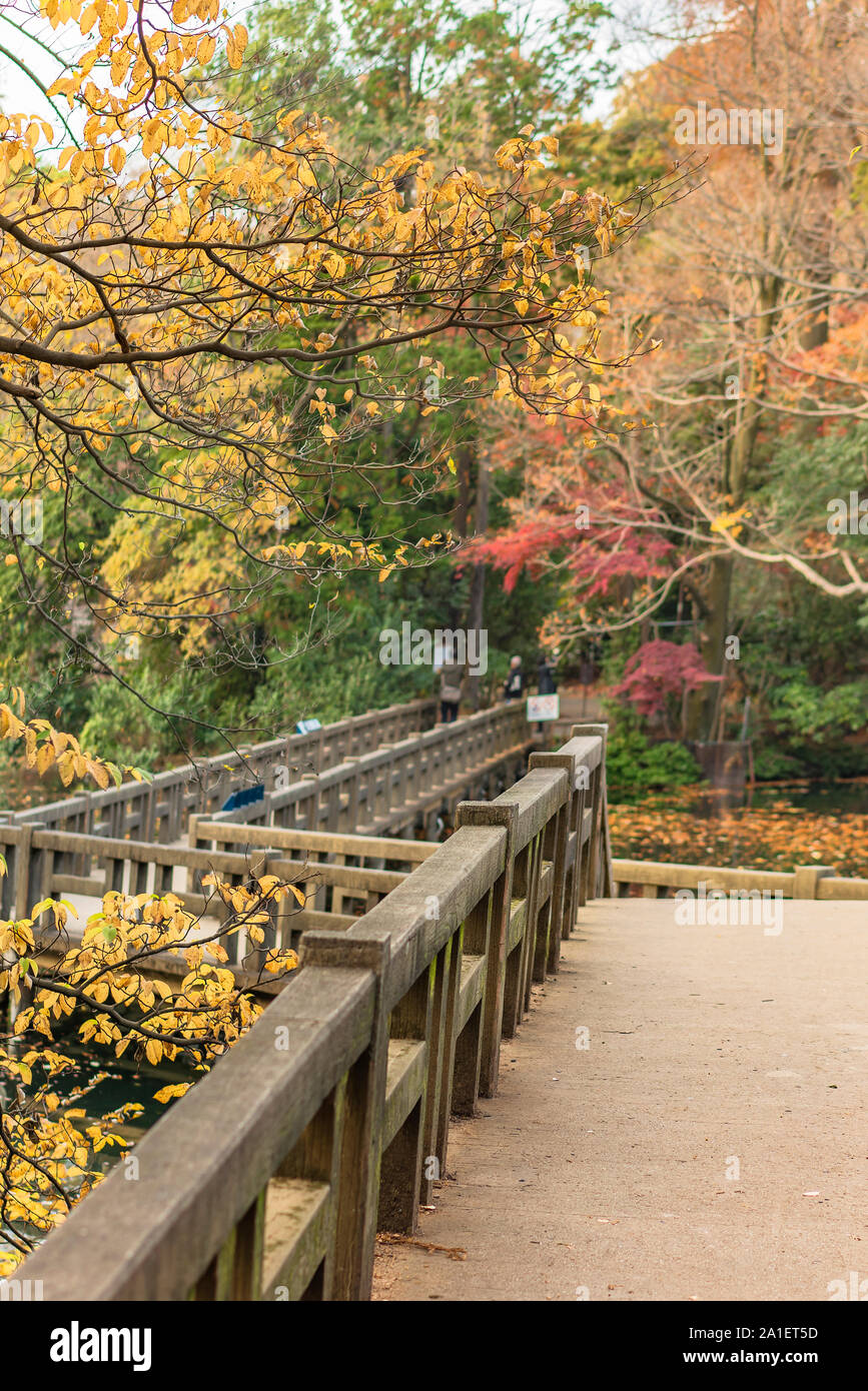 Kichijoji temple garden hi-res stock photography and images - Alamy