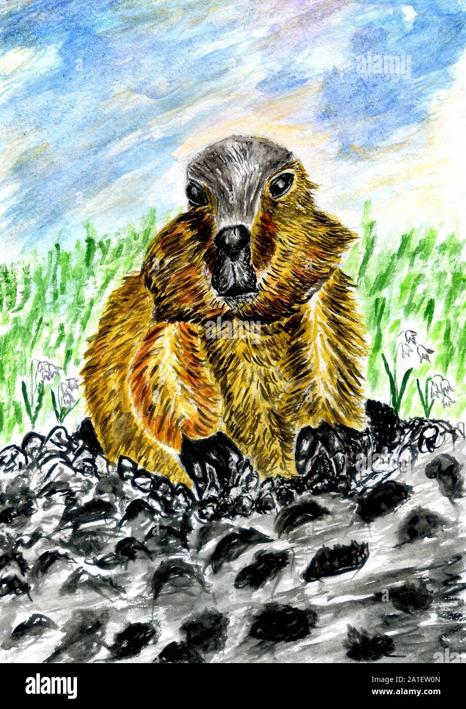 Cartoon brown marmot illustration painted in watercolors Stock Photo ...
