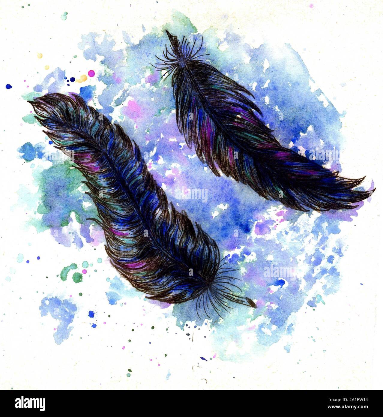 Black ink sketched feathers and watercolor painting, stylized hand ...