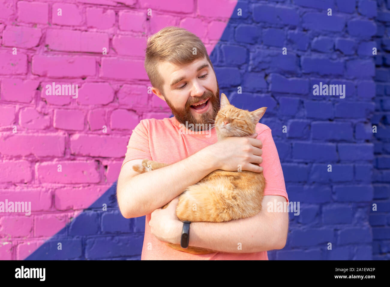 Friendship between man and cat on background of colourful wall outdoor ...