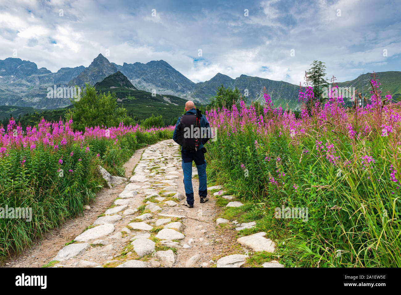 Beautiful hiking trial on hi-res stock photography and images - Alamy