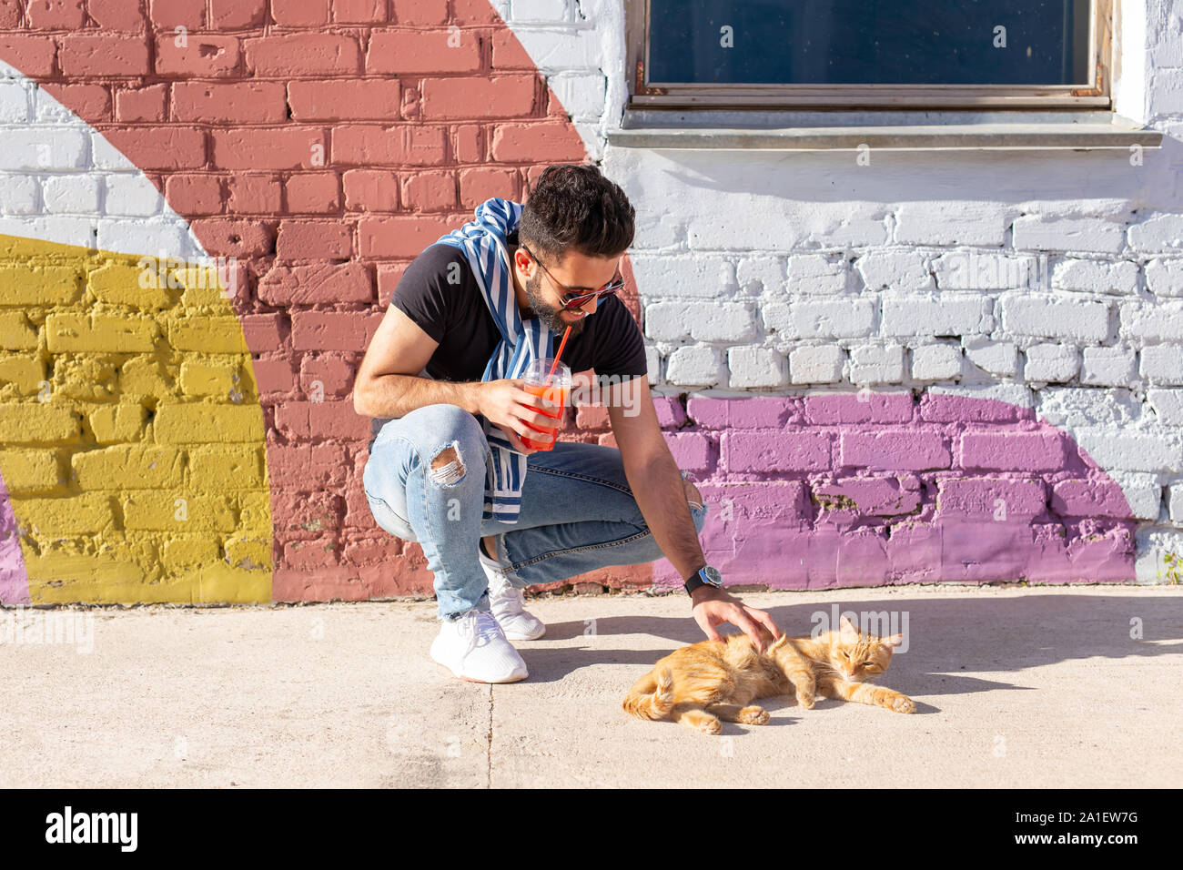 Friendship between man and cat on background of colourful wall outdoor ...