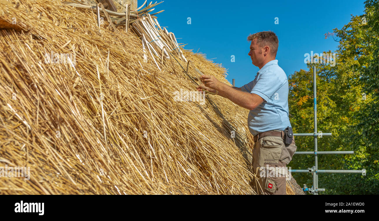 A Master Thatcher working on the roof of a village cottage repairing ...