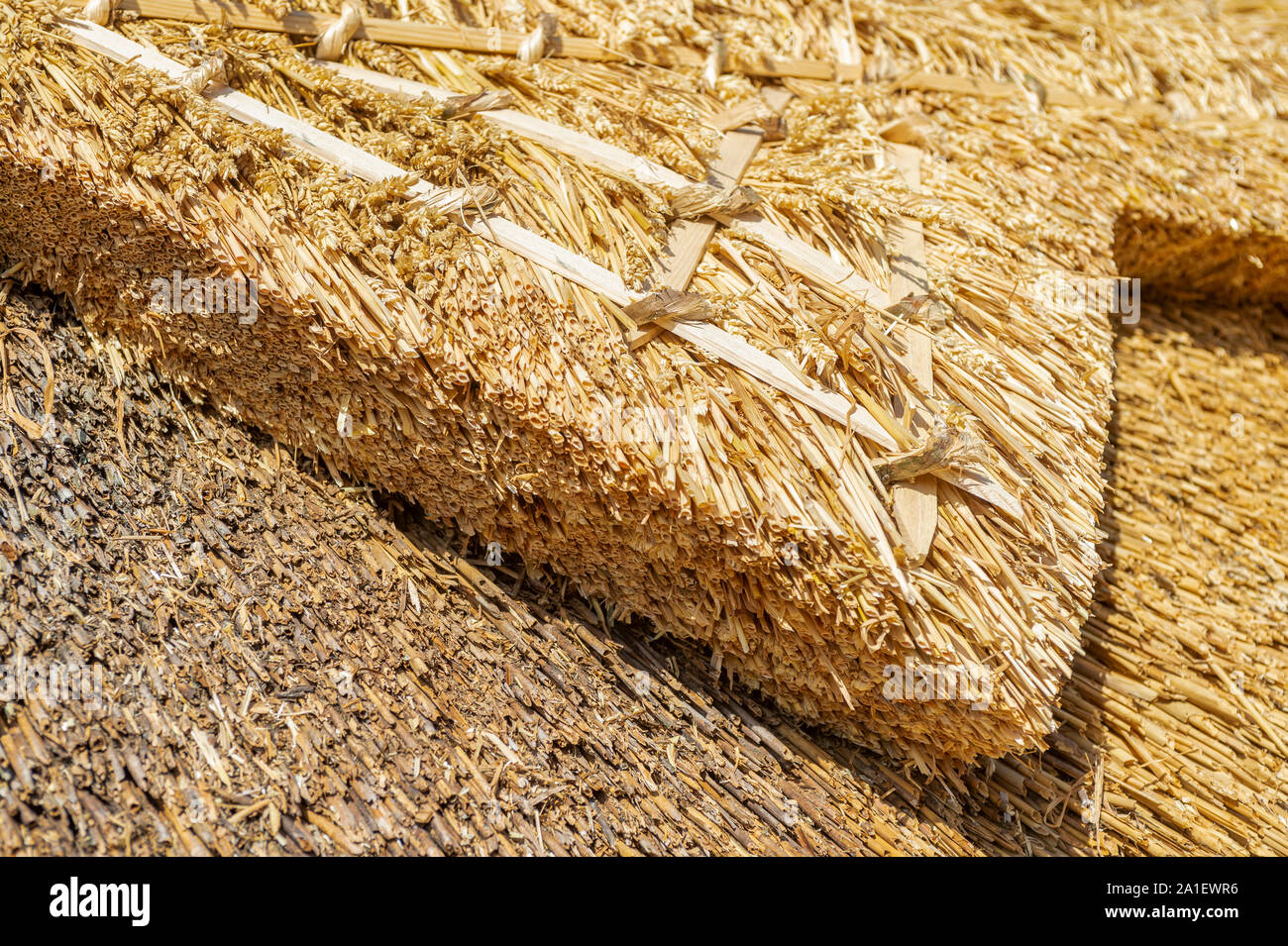Recently repaired and renewed straw thatch on the roof of a village ...