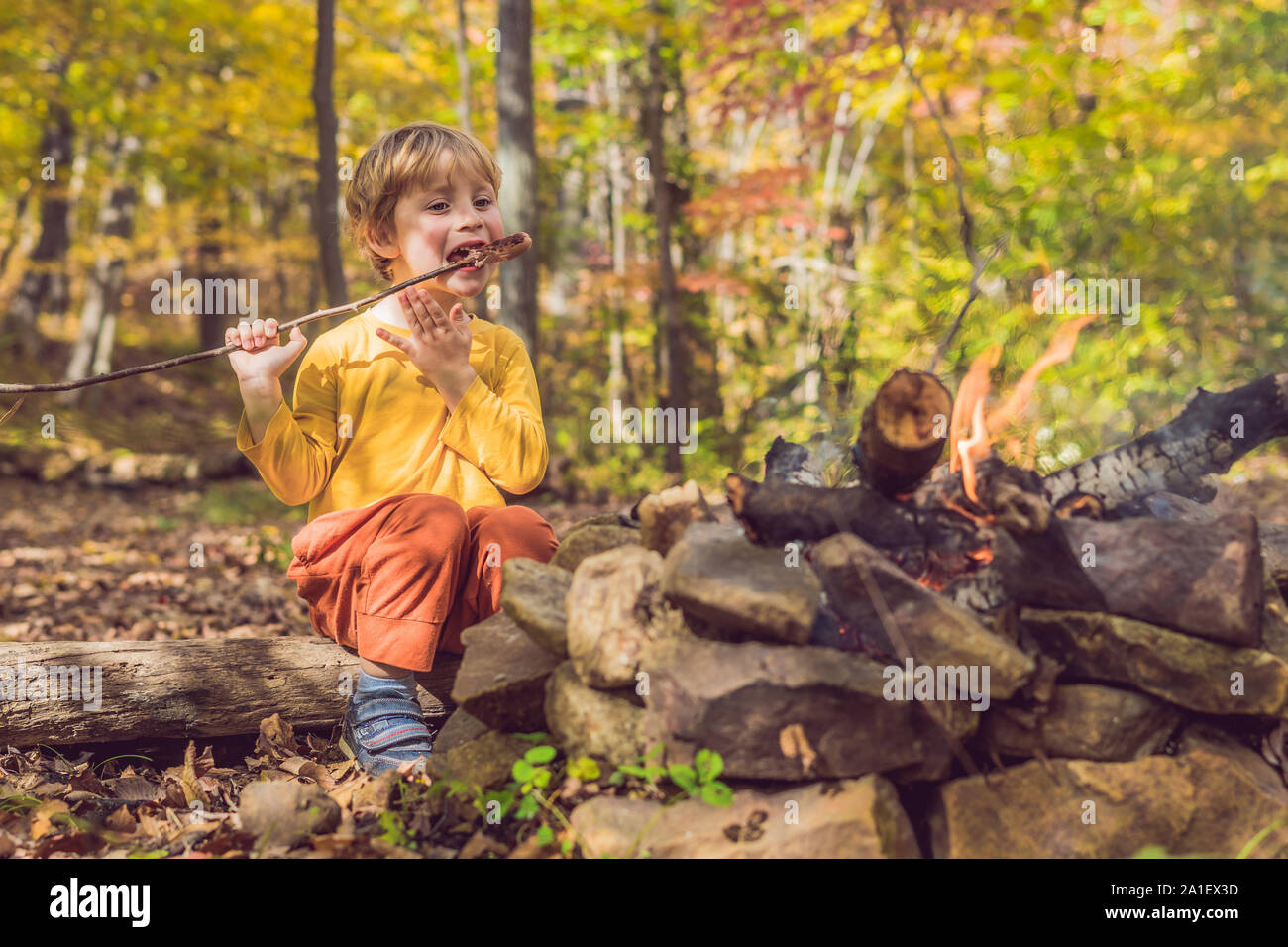 Family Campfire Night Children High Resolution Stock Photography and ...