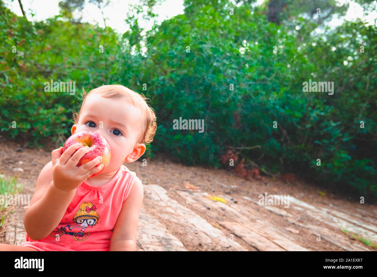 One year old baby sitting in a forest feeding in a paleo way, biting an ...