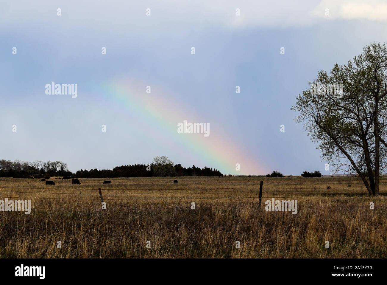 Nebraska nature hi-res stock photography and images - Alamy
