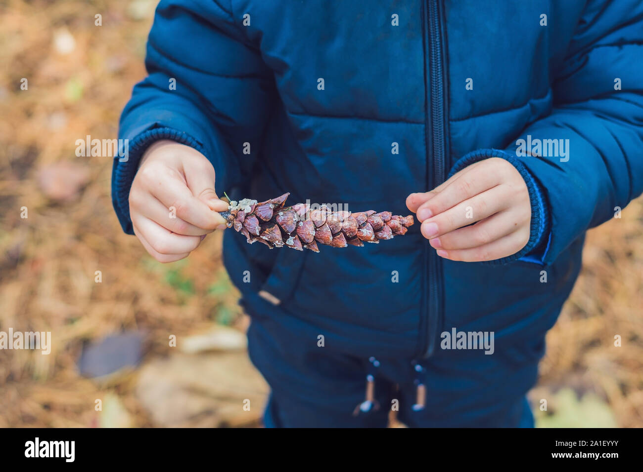 Cute little boy playing with big pine cone outdoors. Game for kids on ...