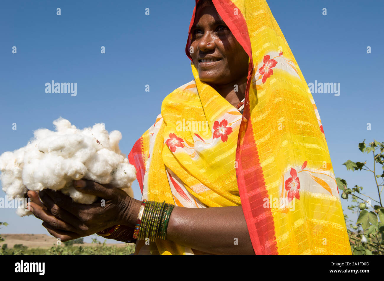Fairtrade farmer india cotton hi-res stock photography and images - Alamy