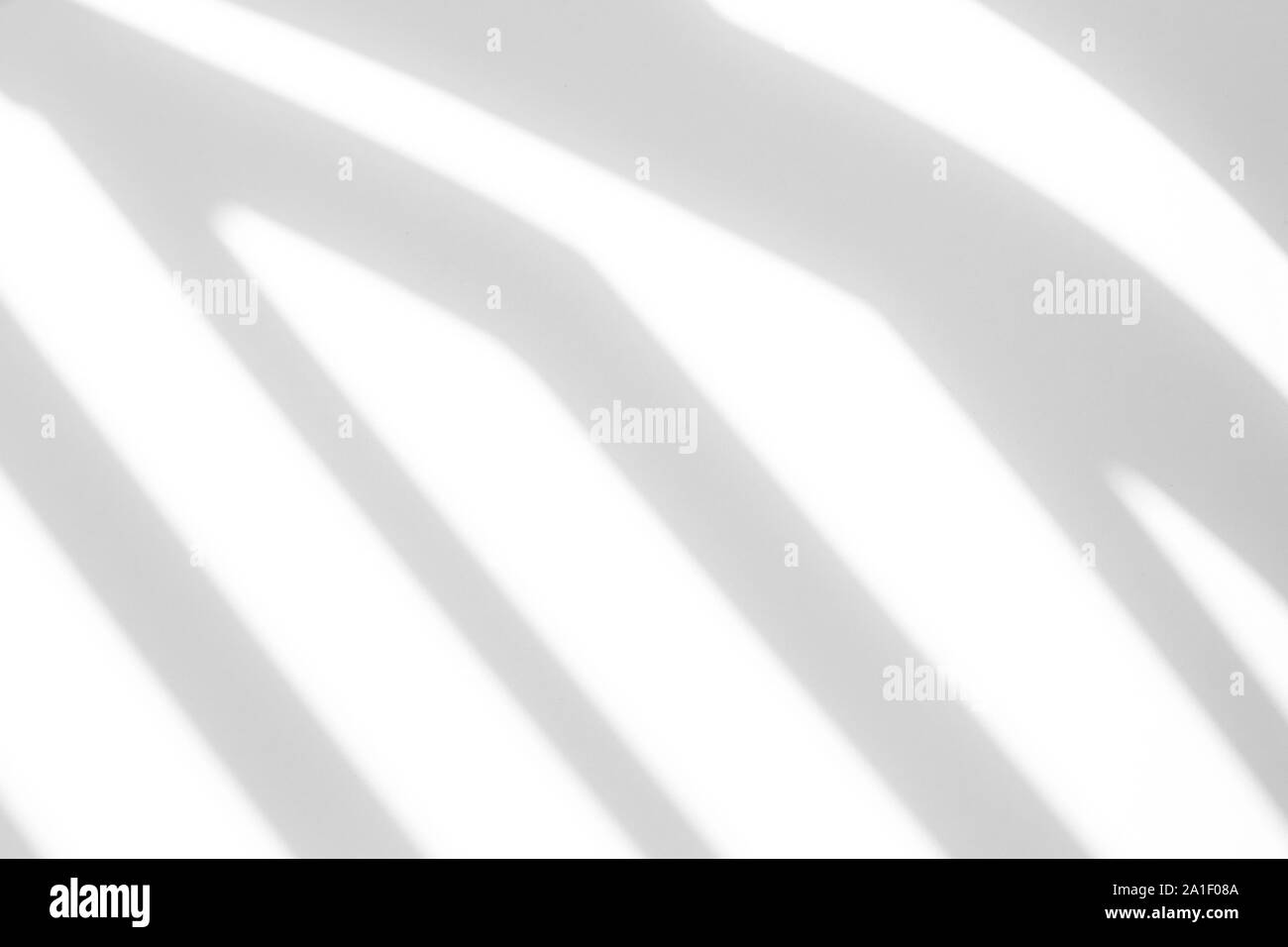 Organic drop shadow on a white wall, overlay effect for photo, mock-ups ...