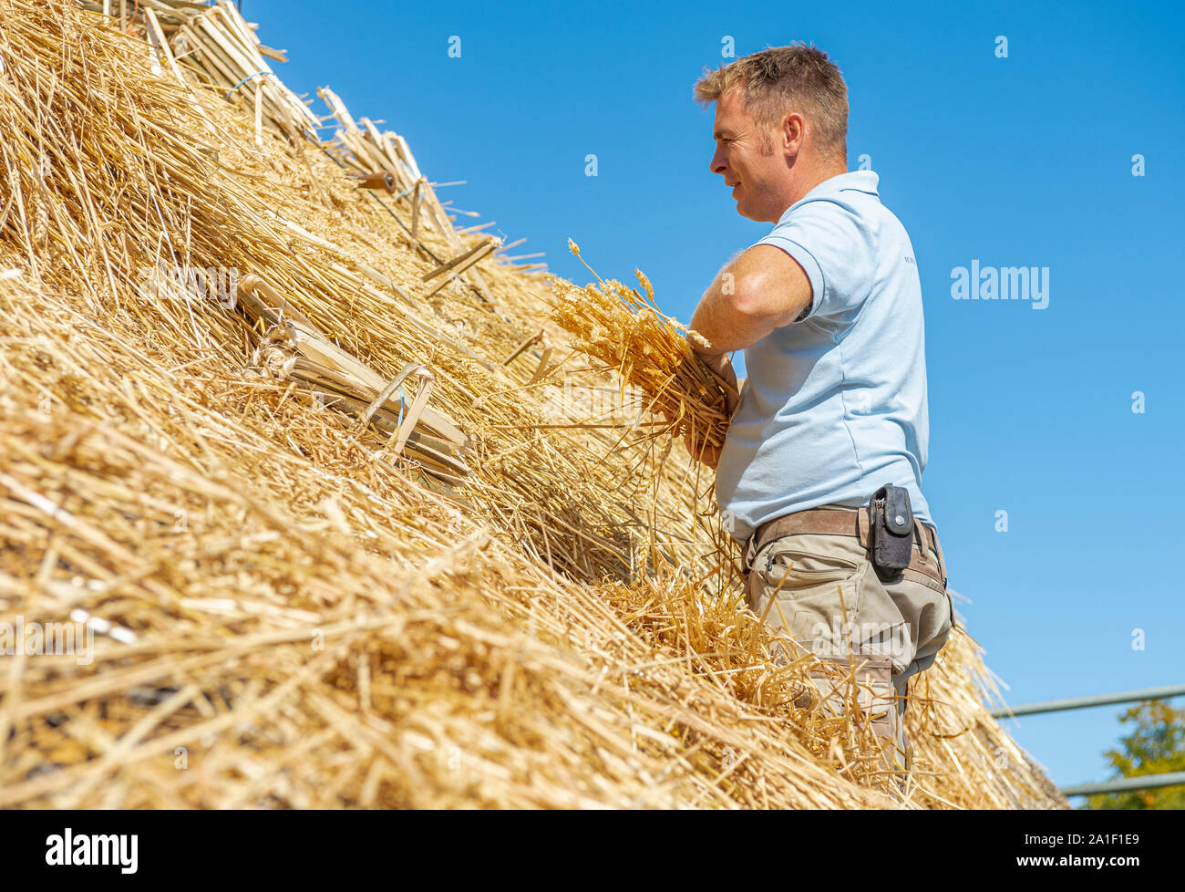 Master skilled hi-res stock photography and images - Alamy