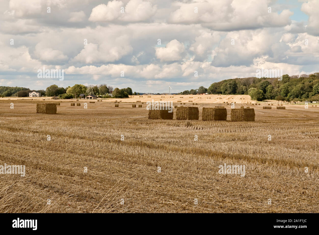Straw bales bundled hi-res stock photography and images - Alamy