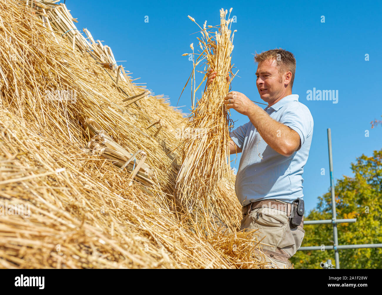 A Master Thatcher working on the roof of a village cottage repairing ...