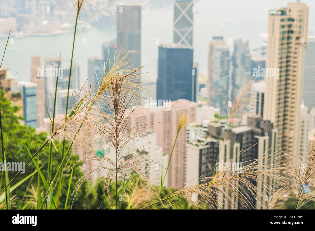Hong Kong skyline. View from Victoria Peak Stock Photo - Alamy