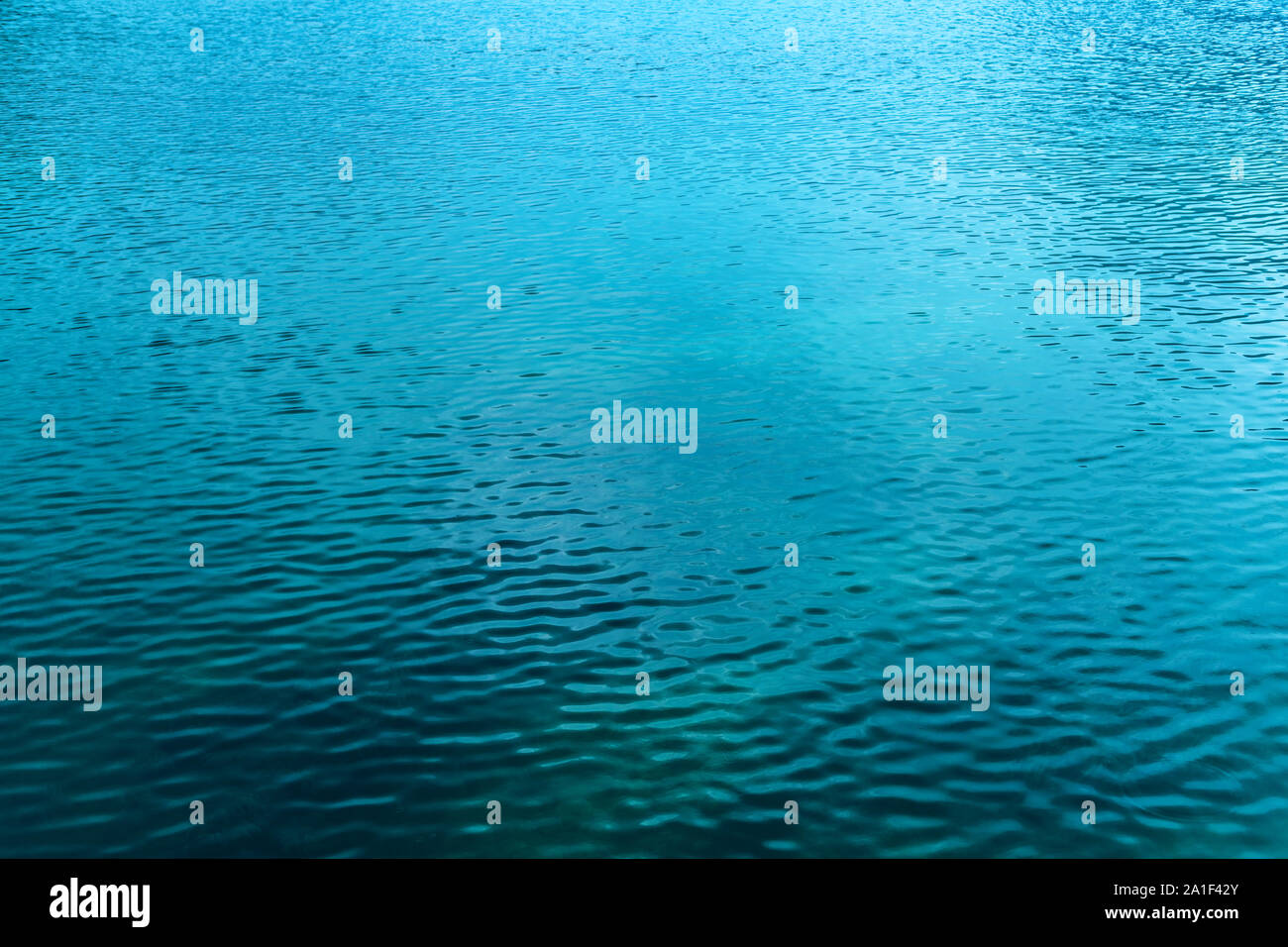 Freshwater background hi-res stock photography and images - Alamy