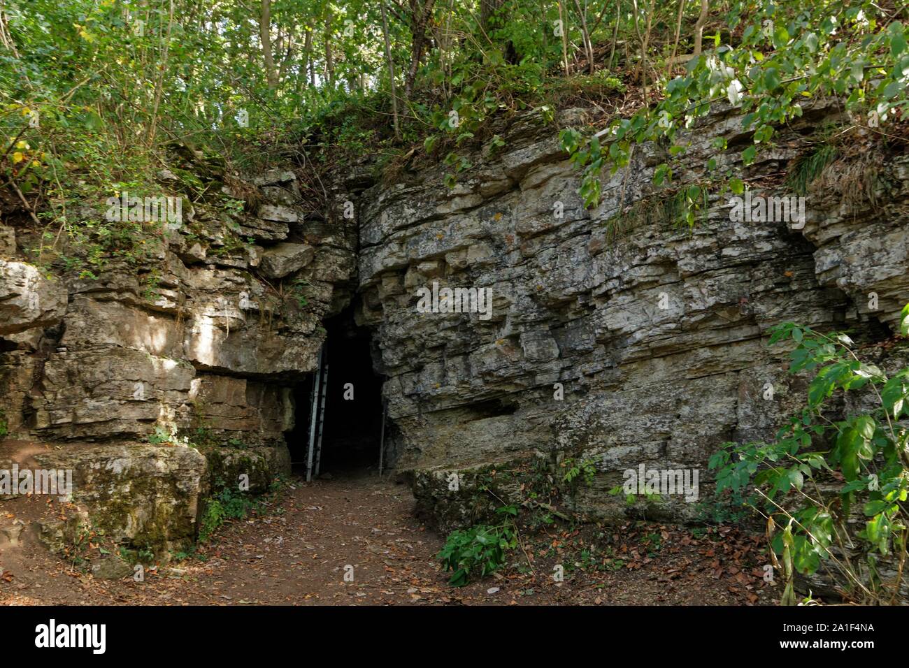 Venuscave hi-res stock photography and images - Alamy