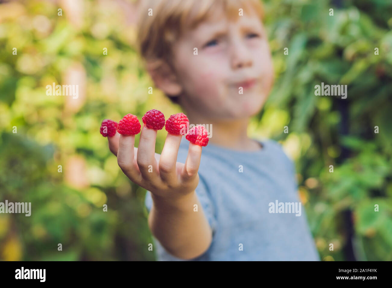 Child bucket raspberries hi-res stock photography and images - Alamy