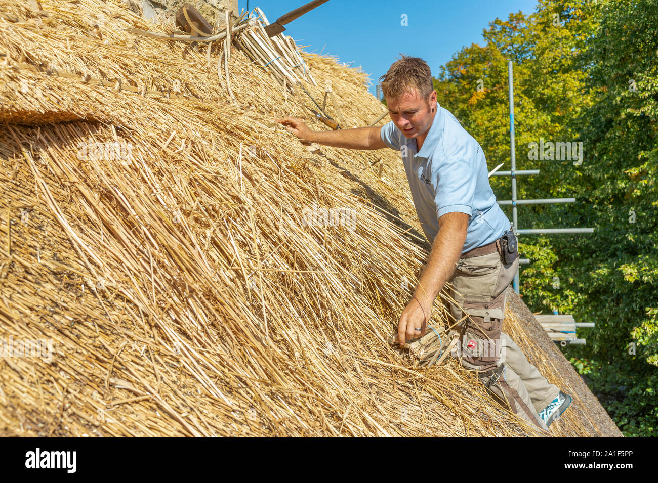 A Master Thatcher working on the roof of a village cottage repairing ...