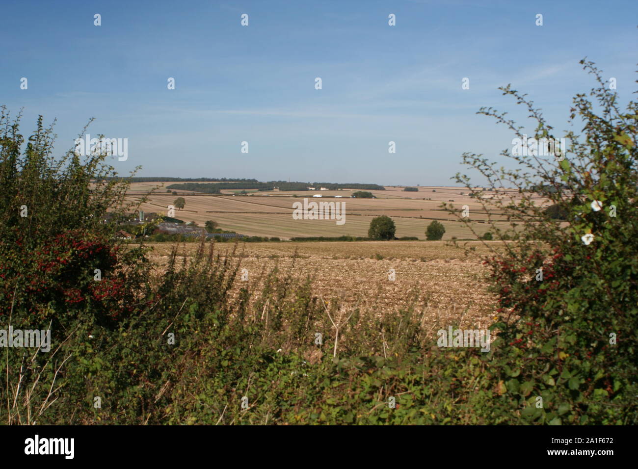 Wetwang east yorkshire hi-res stock photography and images - Alamy