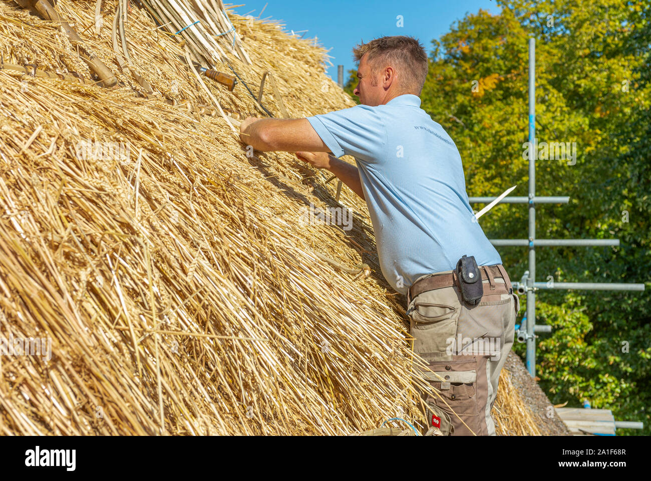 A Master Thatcher working on the roof of a village cottage repairing ...
