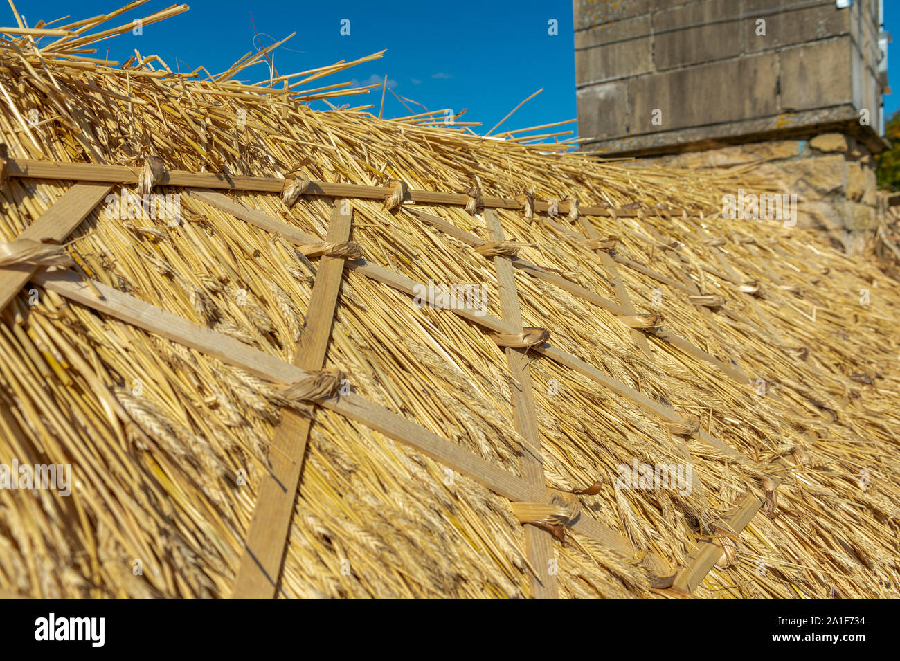 Recently repaired and renewed straw thatch on the roof of a village ...