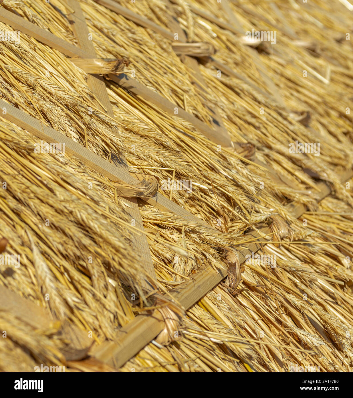 Recently repaired and renewed straw thatch on the roof of a village ...