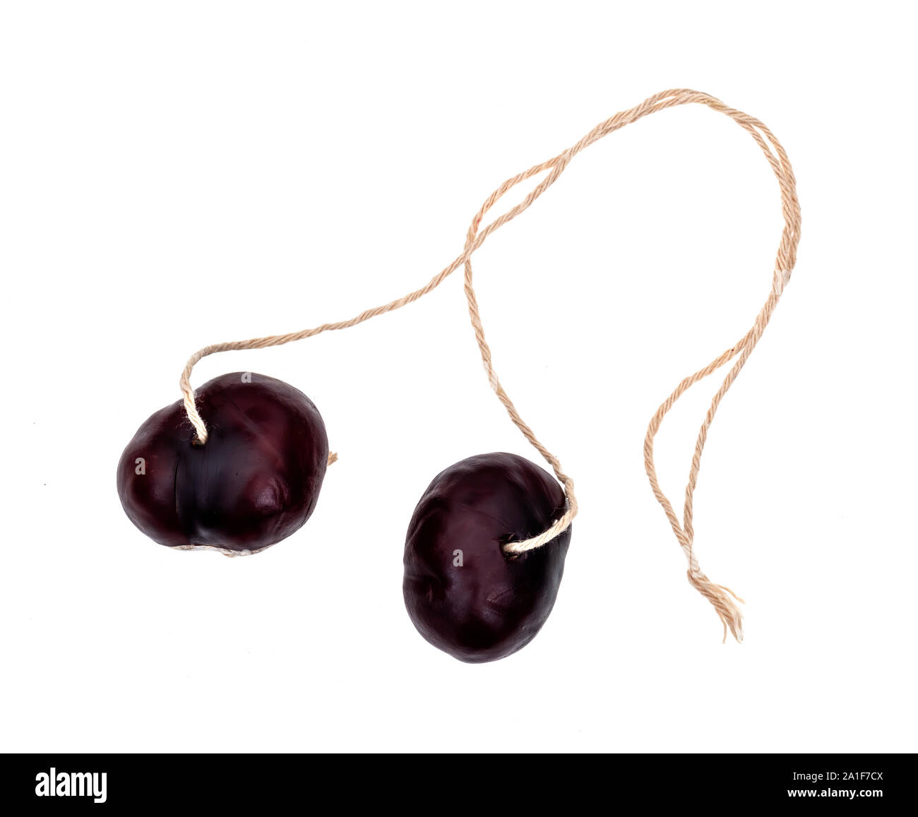 Conkers on string Cut Out Stock Images & Pictures - Alamy