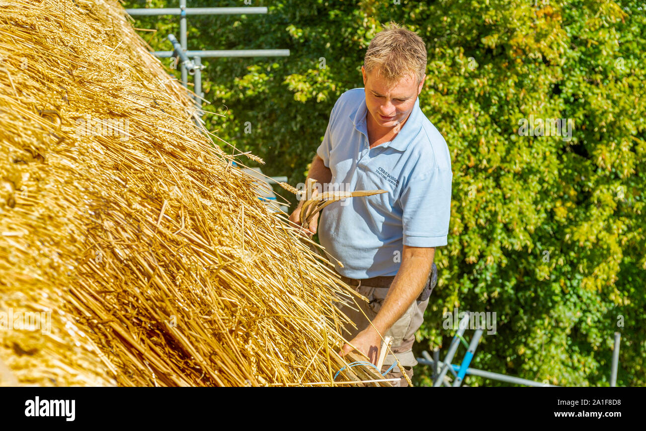 A Master Thatcher working on the roof of a village cottage repairing ...