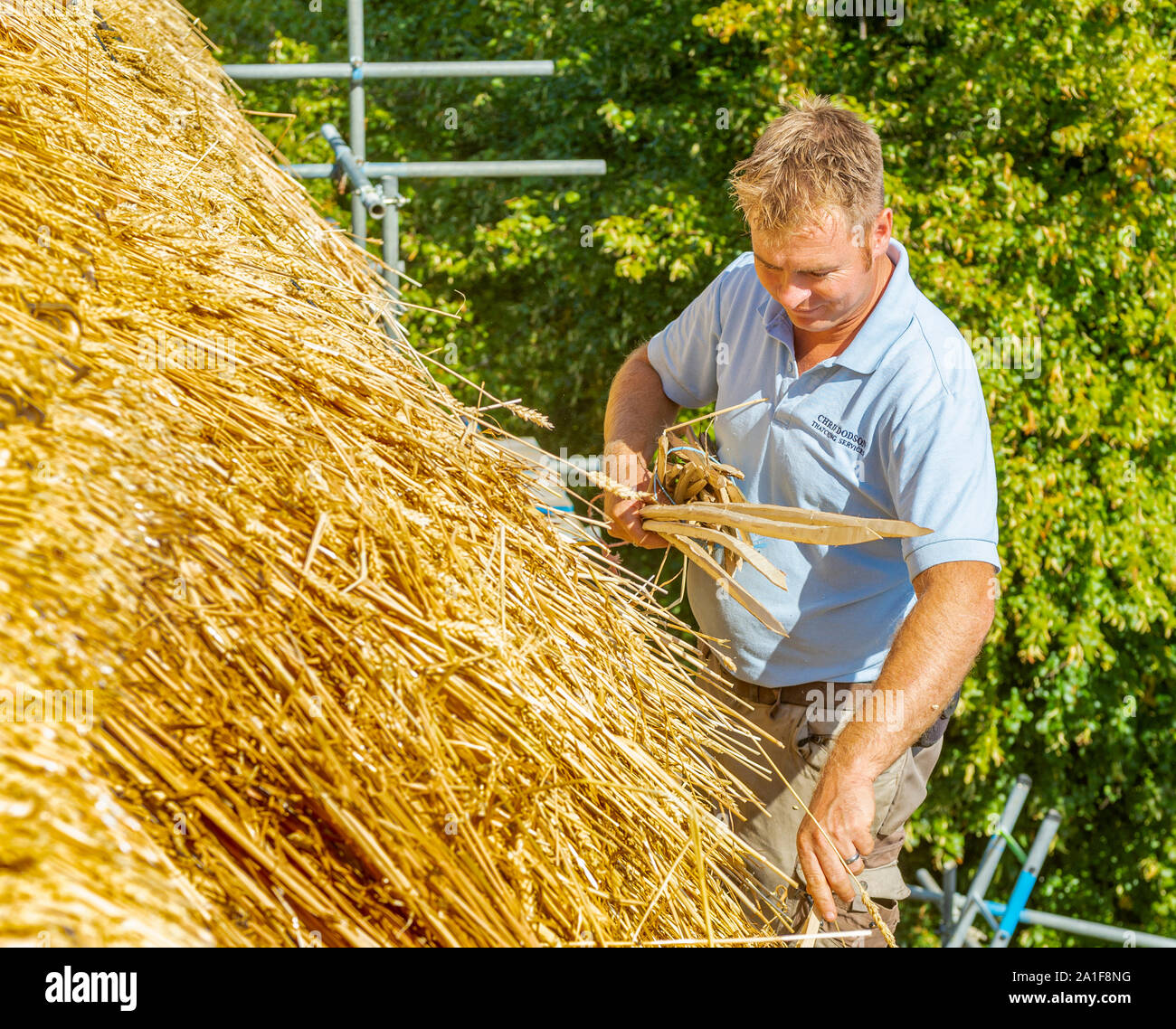 A Master Thatcher working on the roof of a village cottage repairing ...
