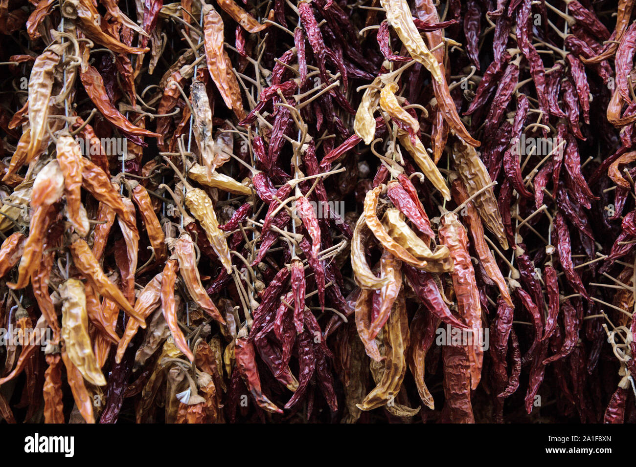 background image of lots of dried chilli peppers hanging up Stock Photo ...