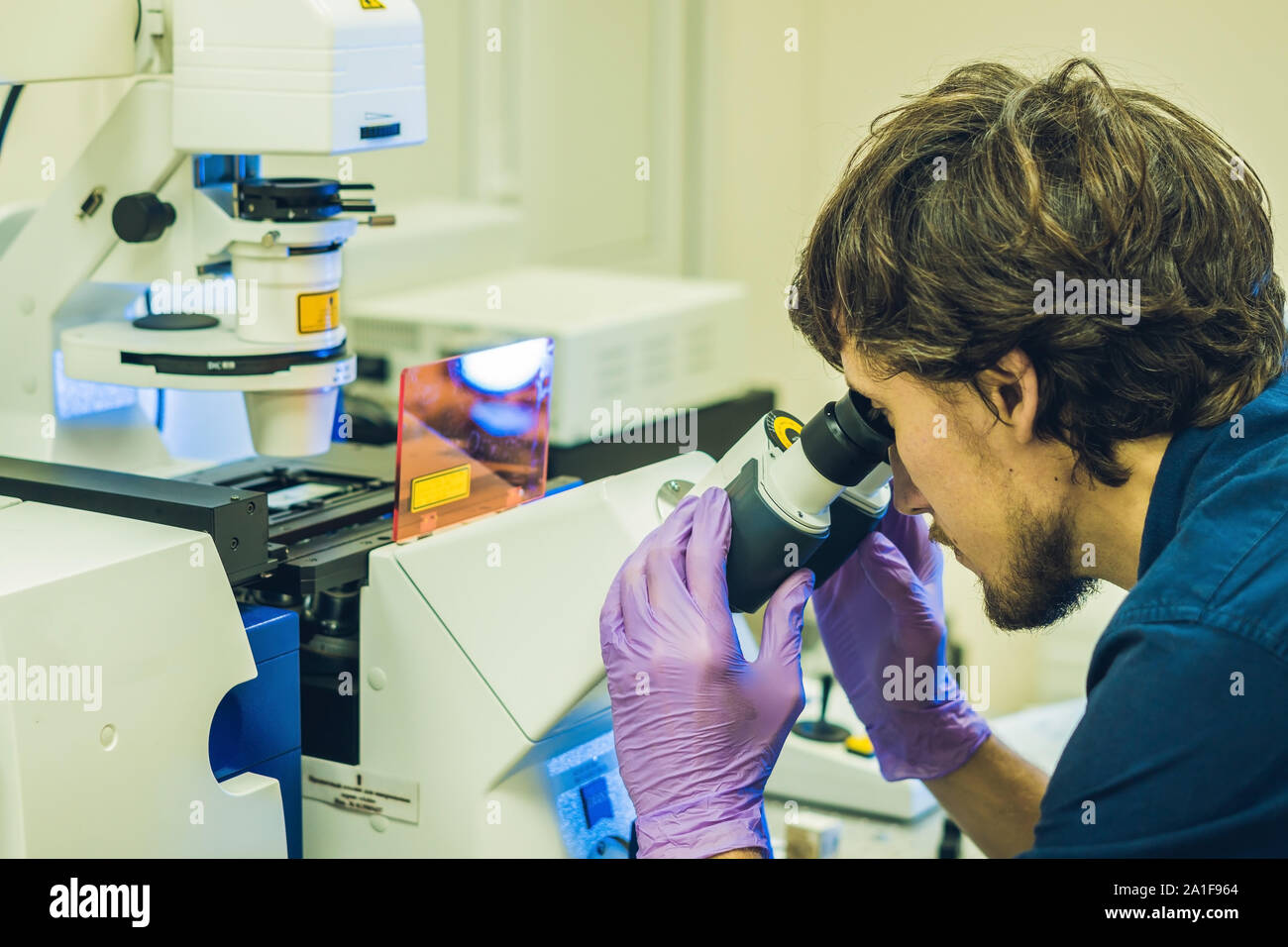 Confocal microscopy hi-res stock photography and images - Alamy