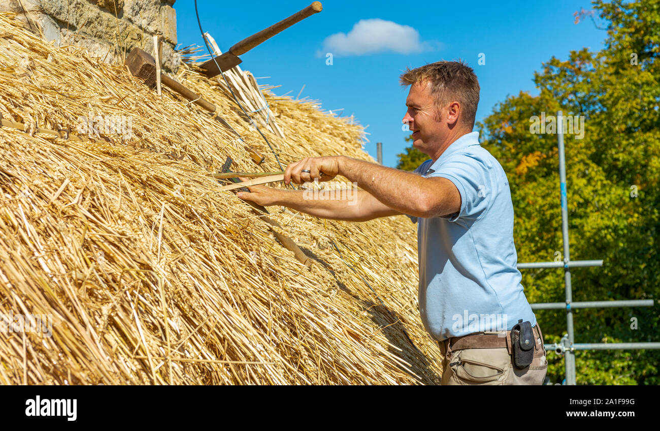 Master of his craft hi-res stock photography and images - Alamy