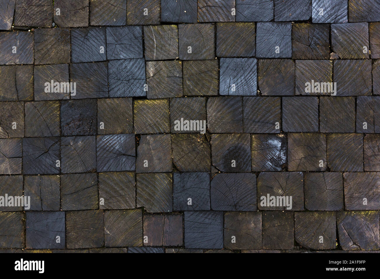 pavement texture made of wooden blocks Stock Photo - Alamy