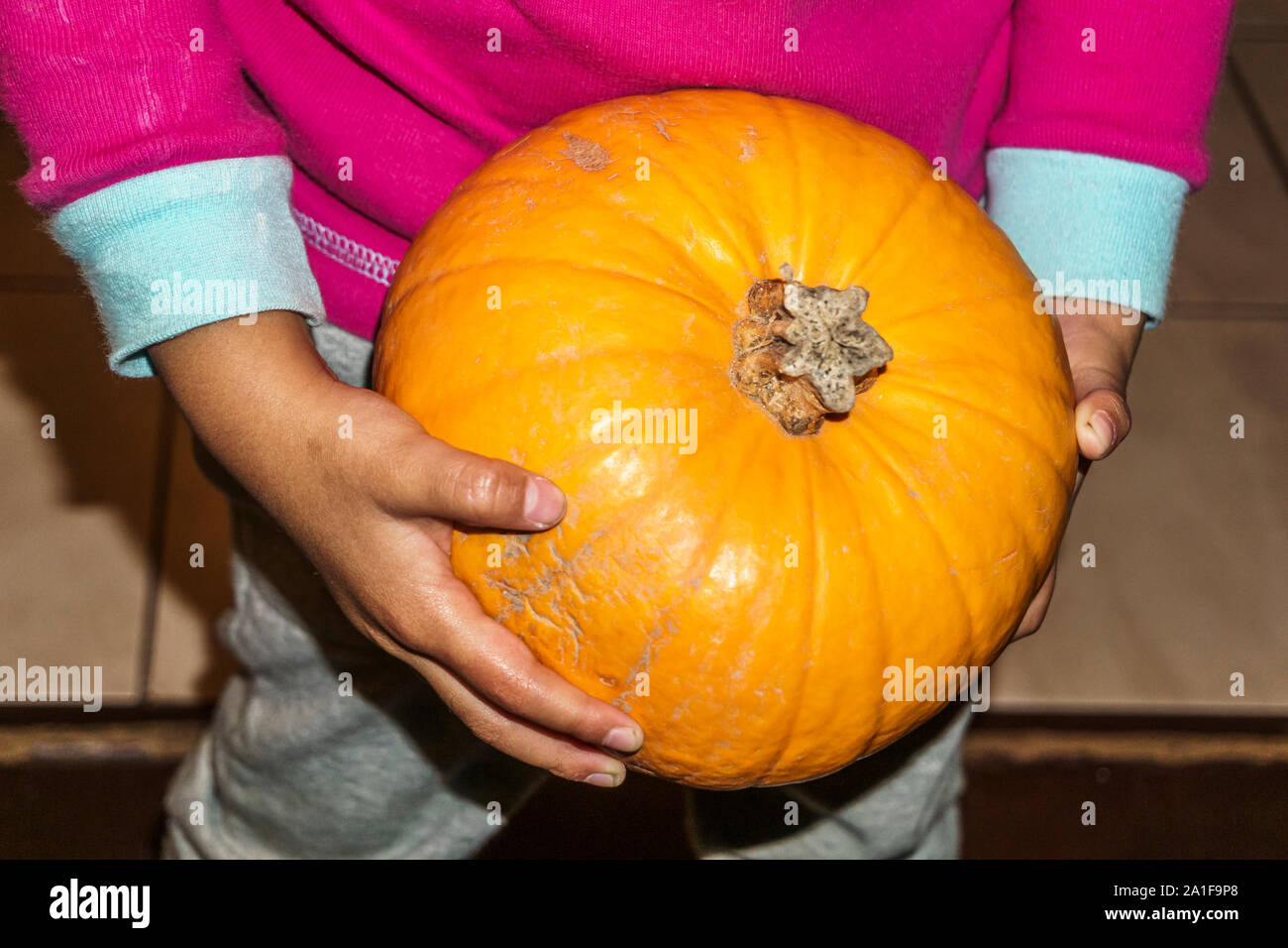 Child proudly holding a huge pumpkin for Halloween Stock Photo - Alamy