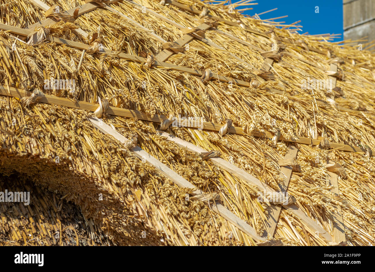 Recently repaired and renewed straw thatch on the roof of a village ...