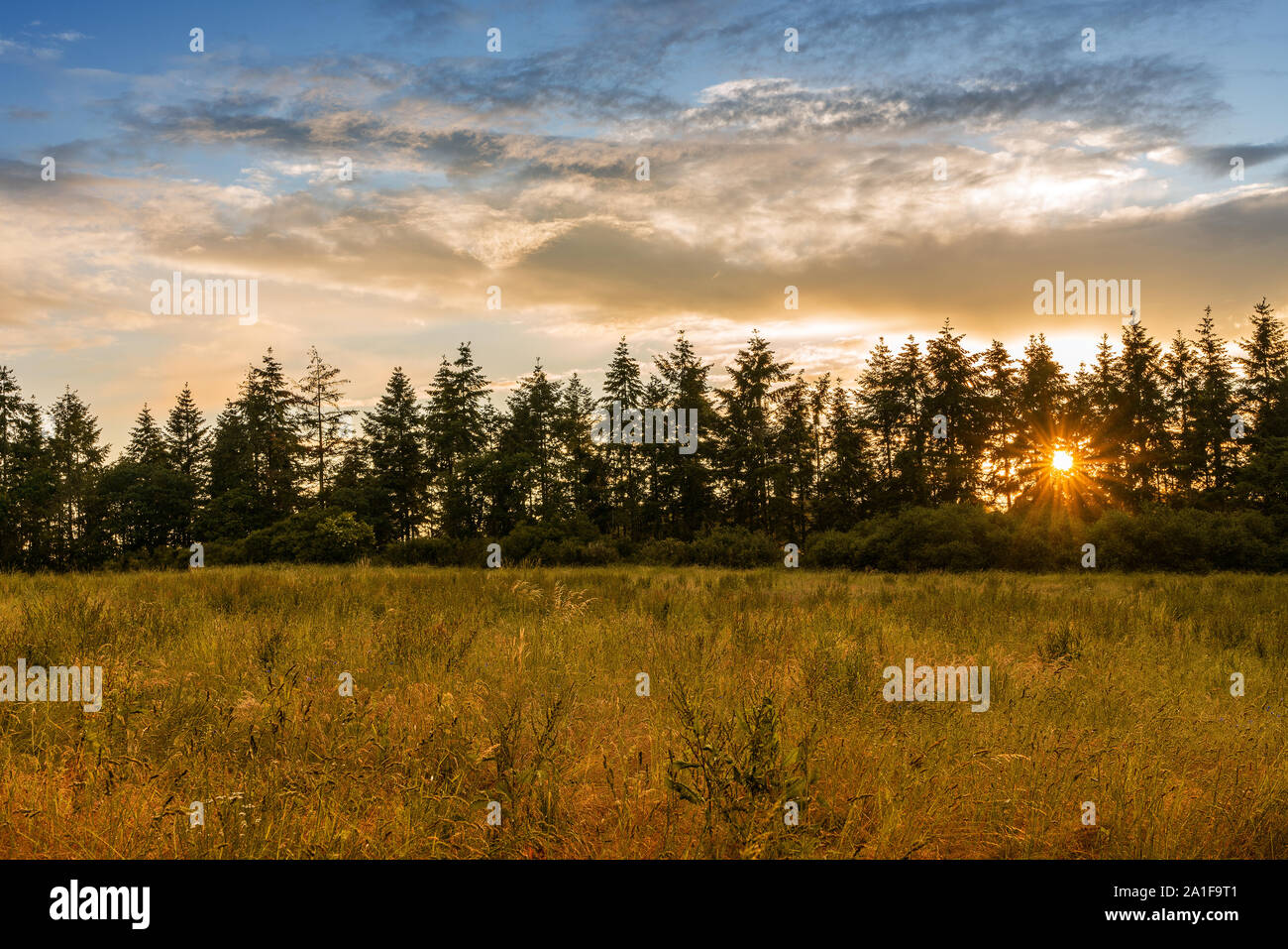 Romantic sunset behind the tree hi-res stock photography and images - Alamy