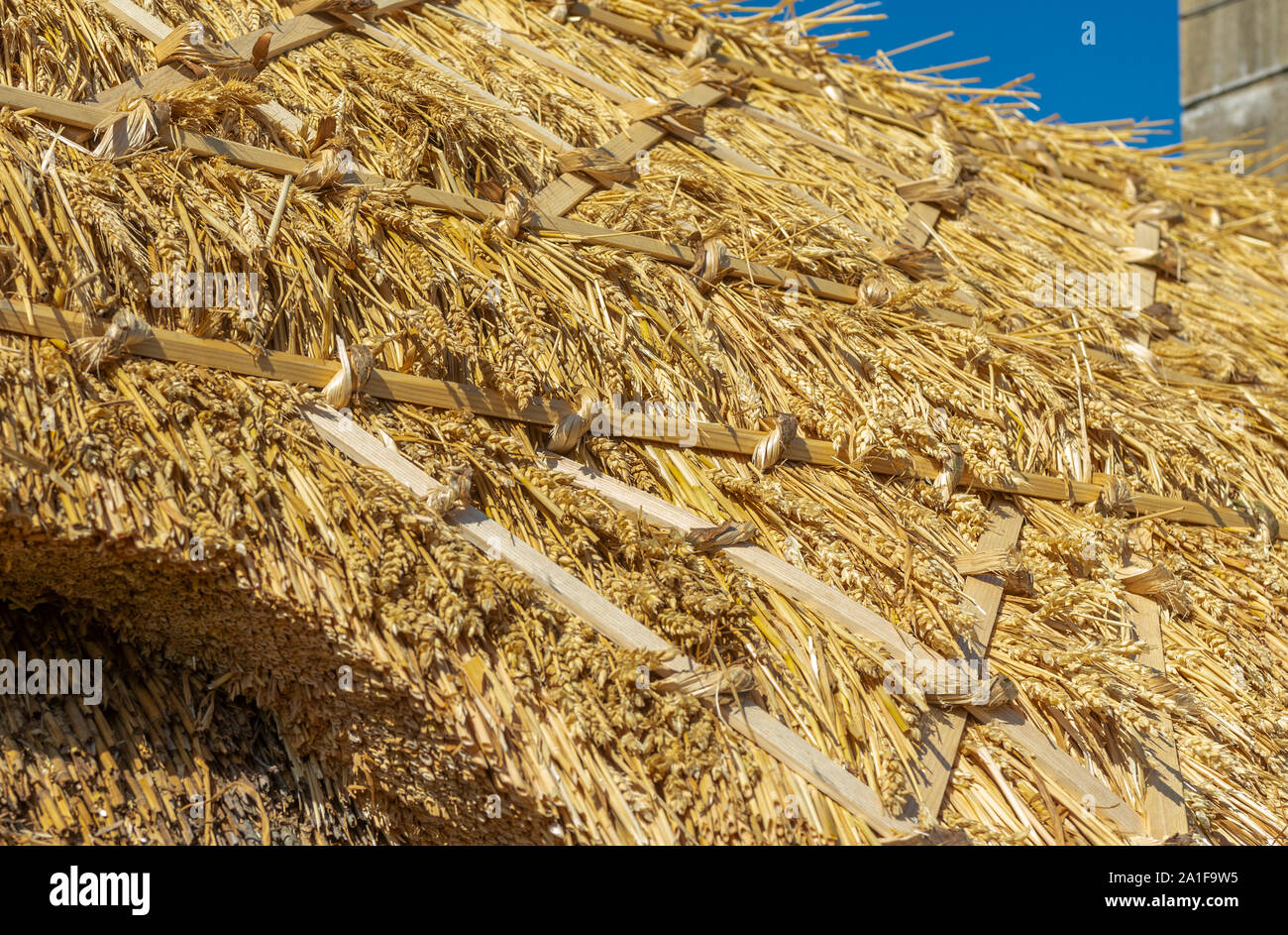 Recently repaired and renewed straw thatch on the roof of a village ...